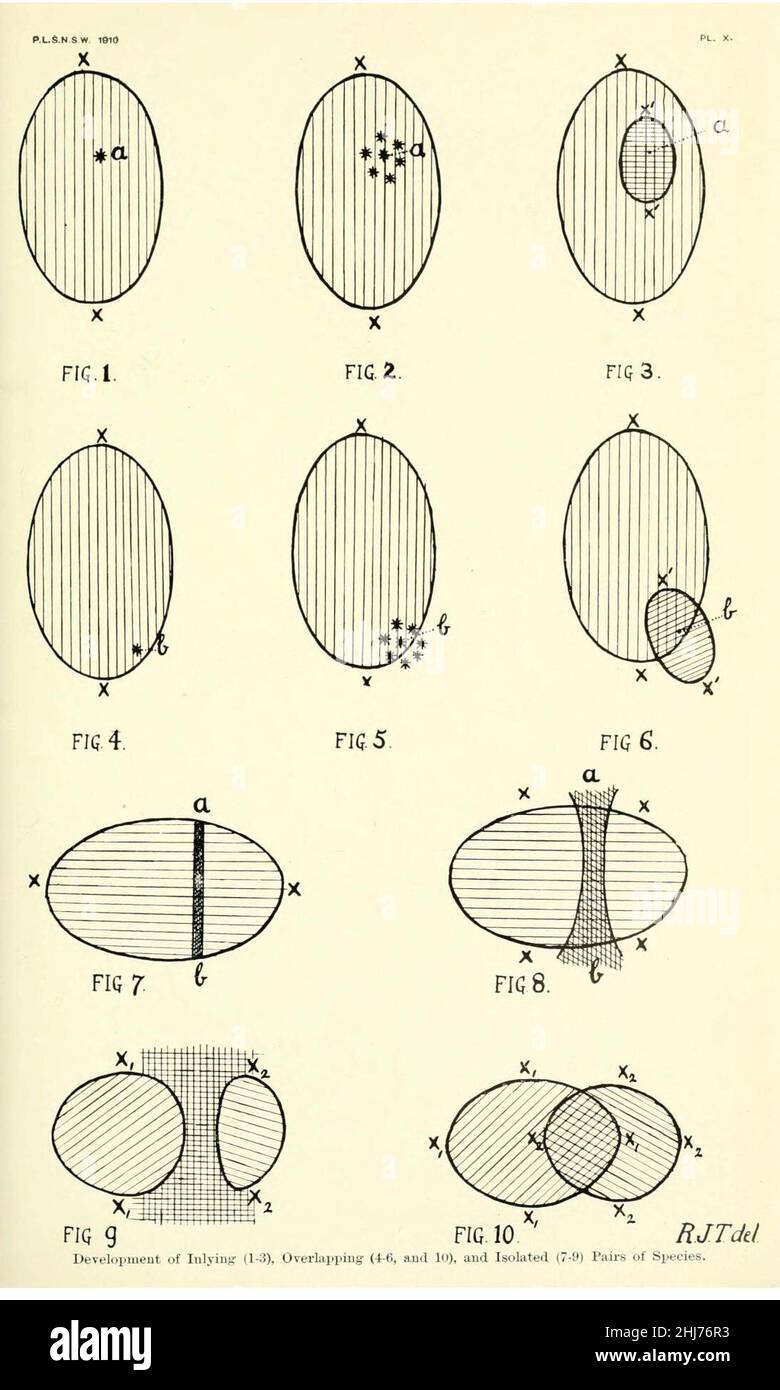 Tillyard hi-res stock photography and images - Alamy