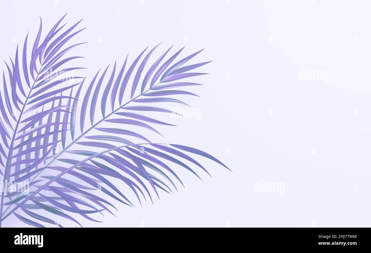 Tropical palm leaves corner design color background Stock Vector Image ...