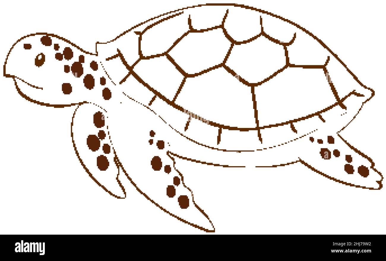 Turtle in doodle simple style on white background illustration Stock ...