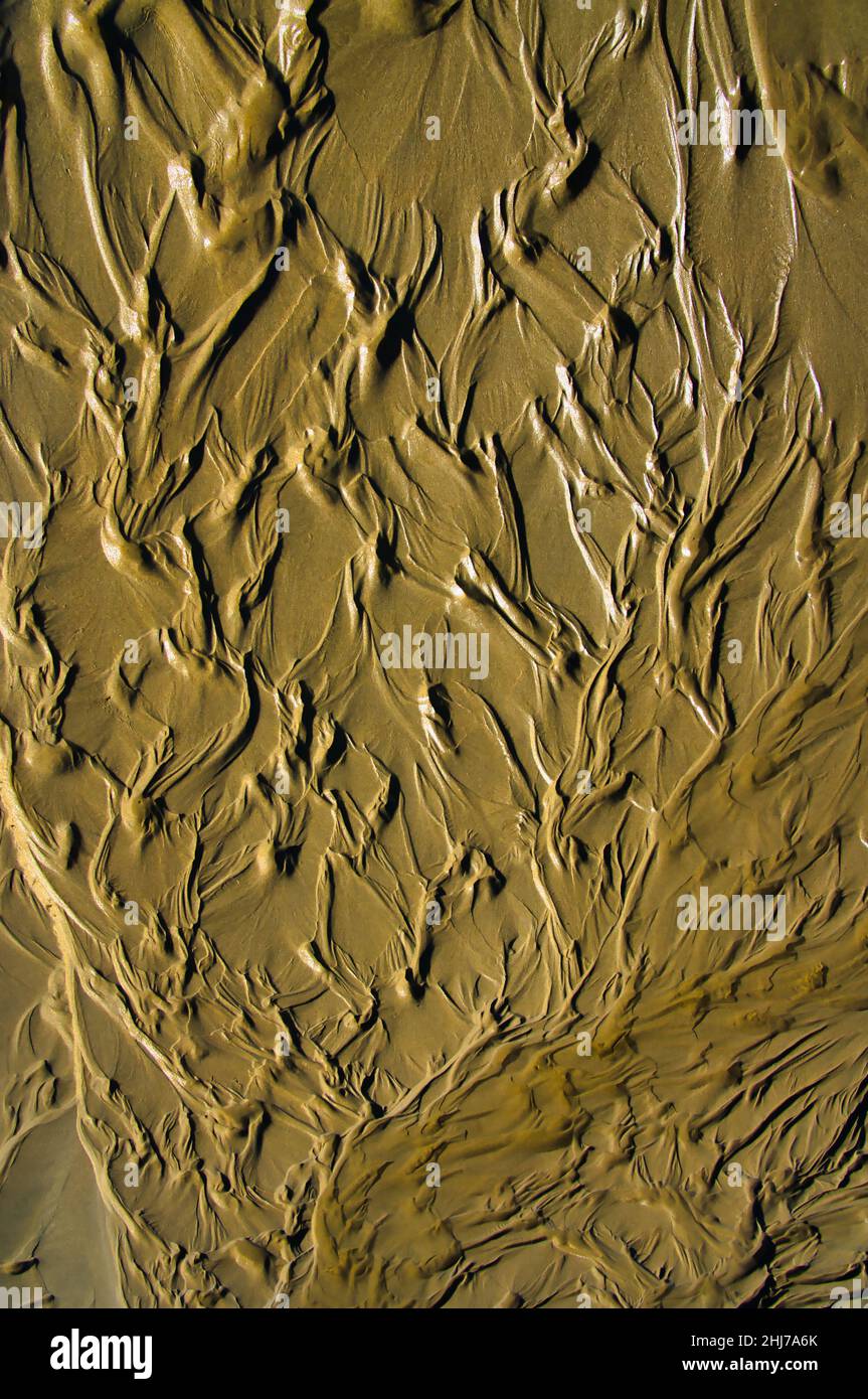 Patterns in wet sand reminiscent of stylised waving seaweed. Abstract ...