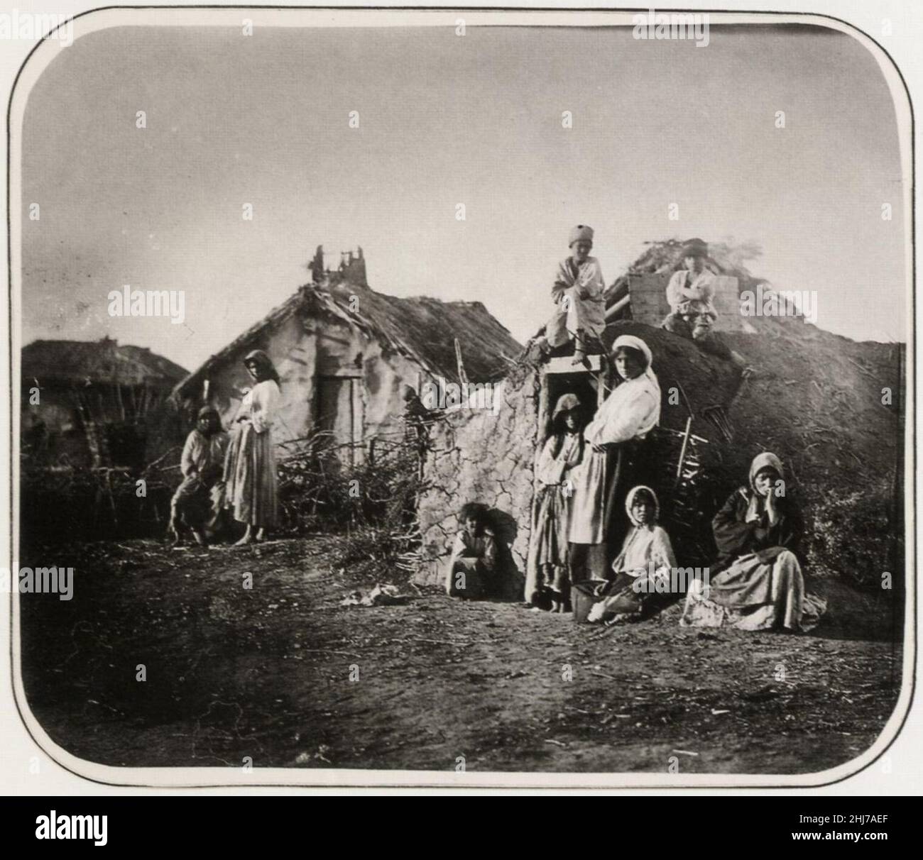 Pasarea hi-res stock photography and images - Alamy