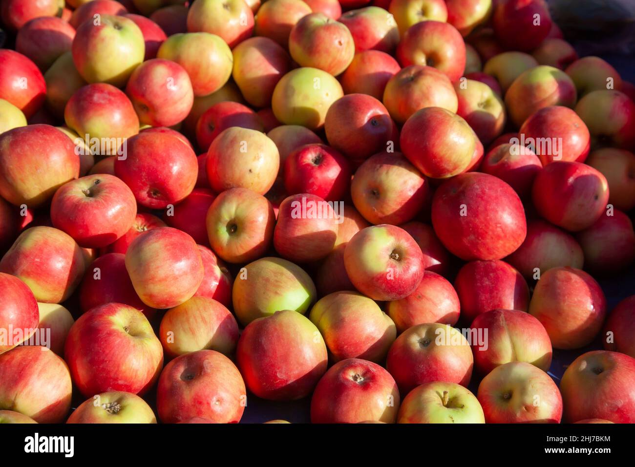Small apples. Top of view. Apples at the local market Stock Photo - Alamy