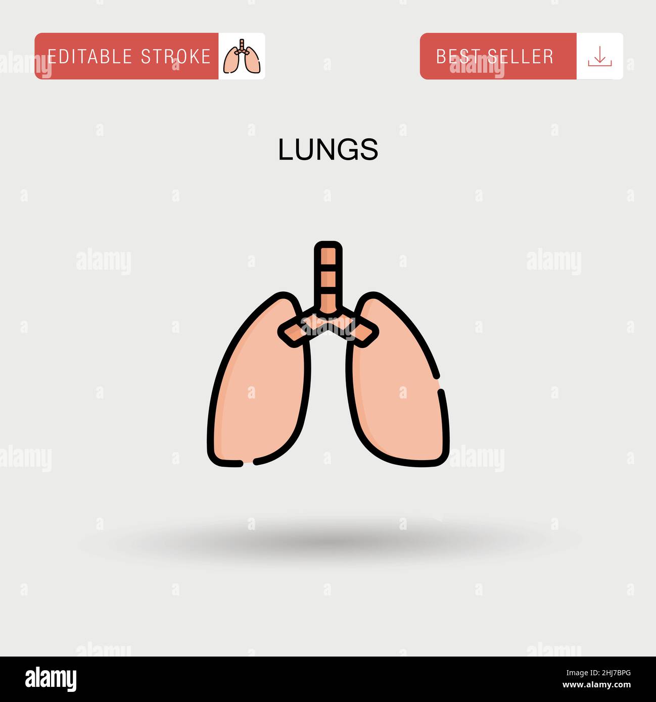 Lungs Simple vector icon Stock Vector Image & Art - Alamy