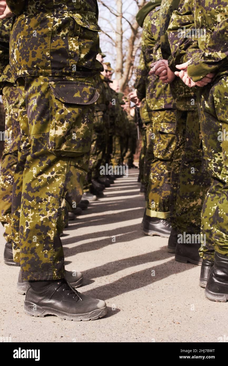 Time for inspection. A group of soldiers standing at attention Stock ...