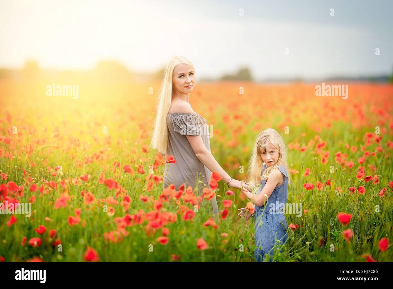 Happy family resting on a beautiful poppy field at sunset. family ...