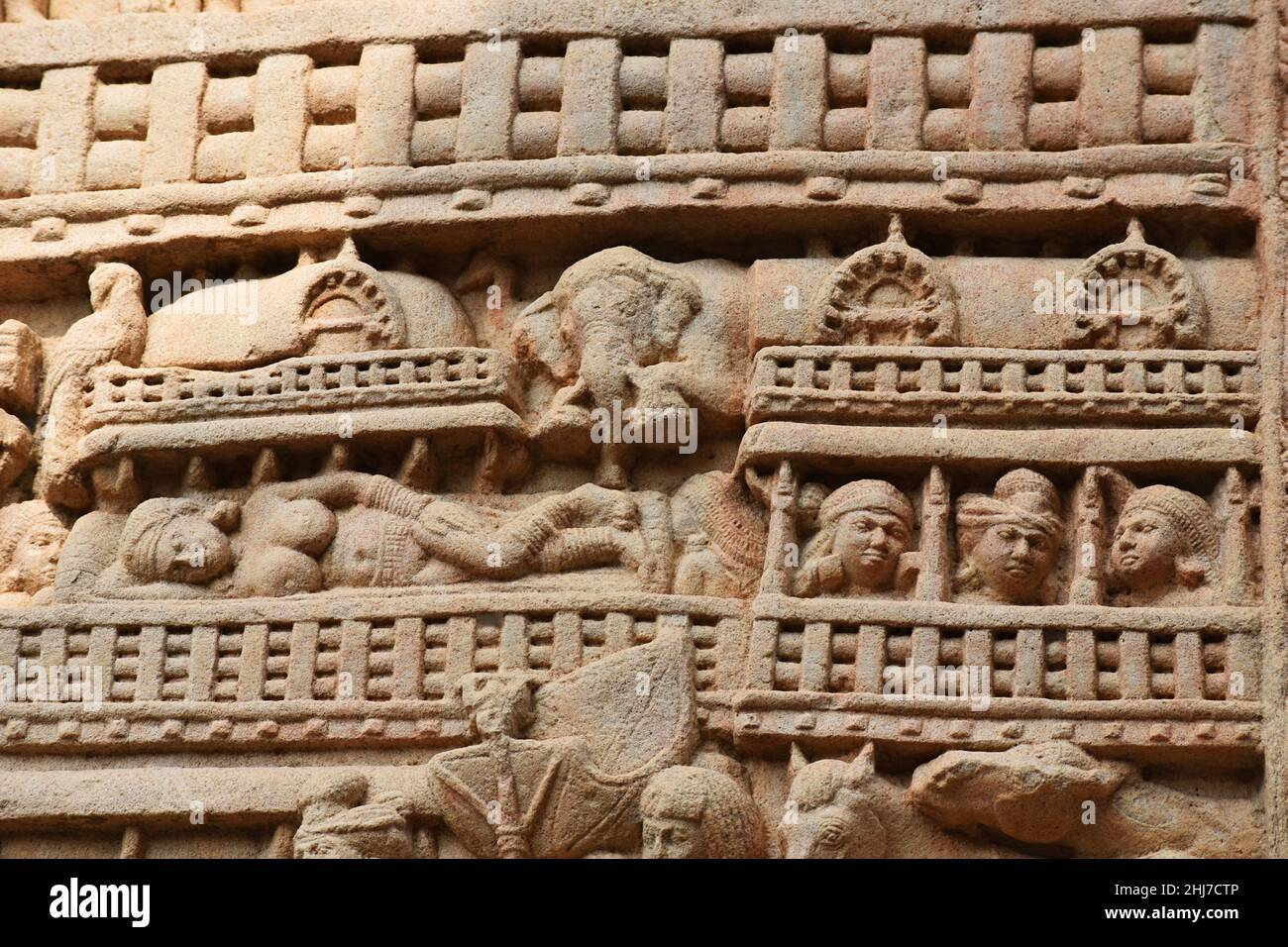 Maya the elephant hi-res stock photography and images - Alamy