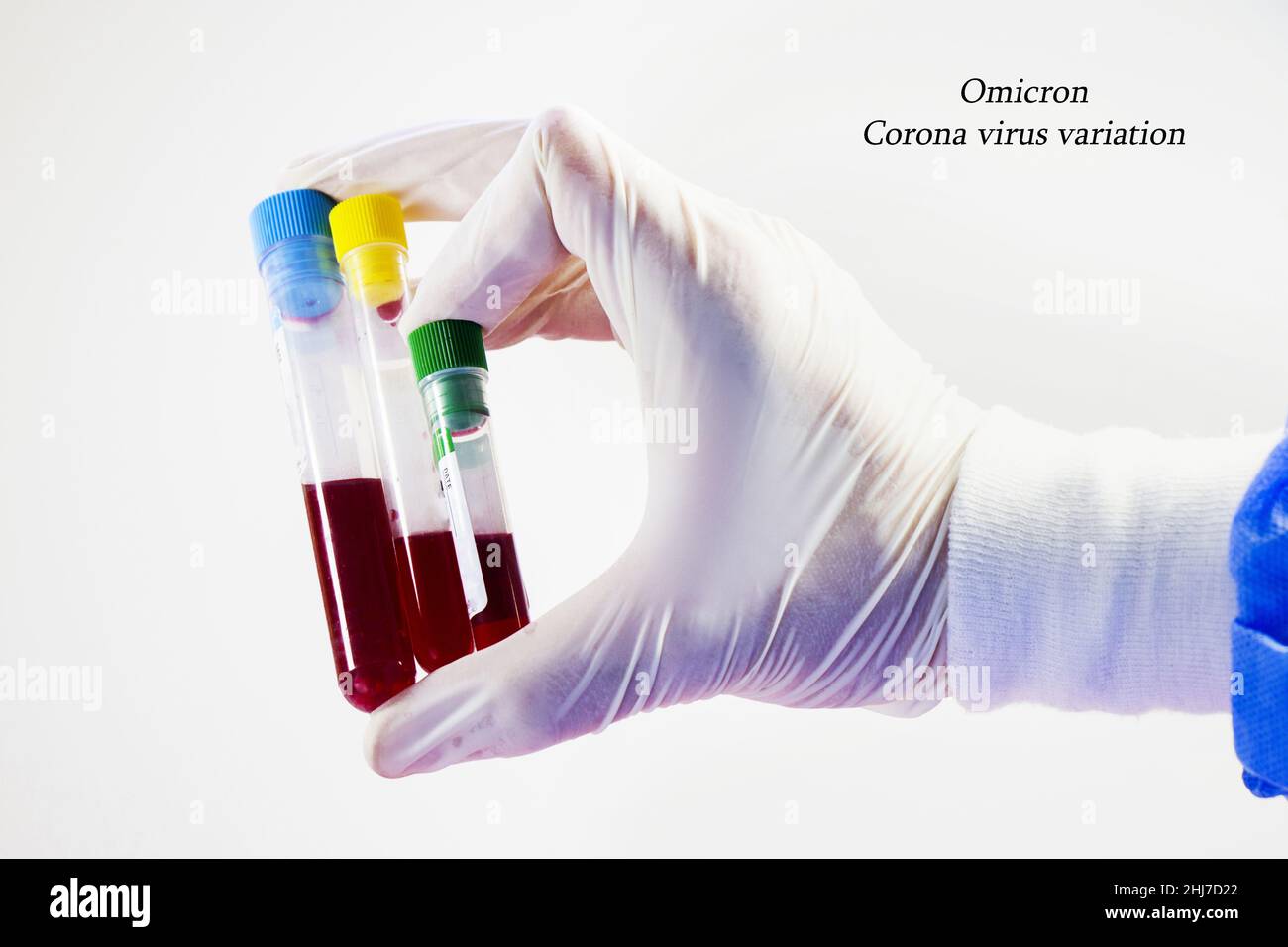 Gloved scientist's hand holding Omicron sample test tubes with blood ...