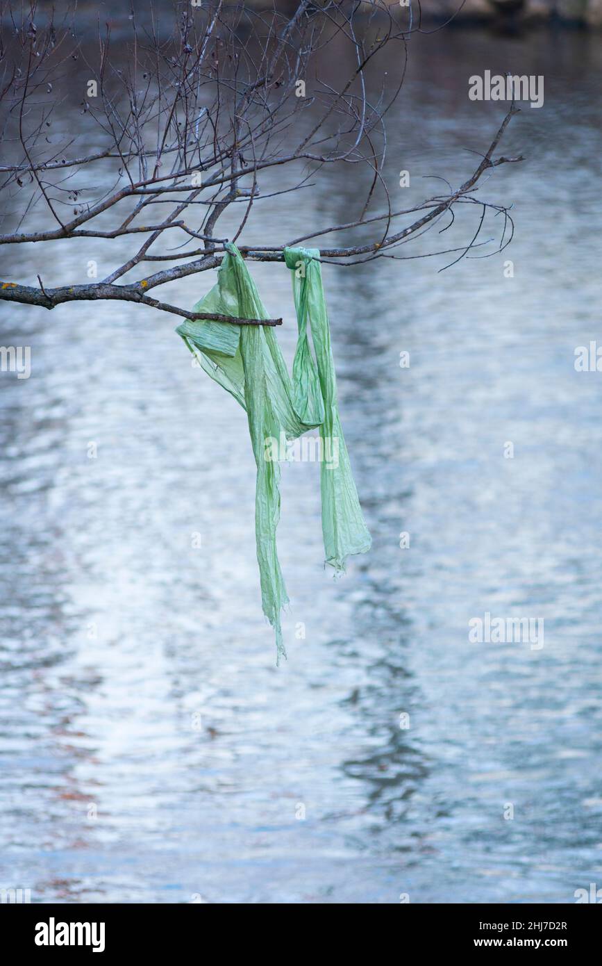 Plastic pollution tree hi-res stock photography and images - Alamy