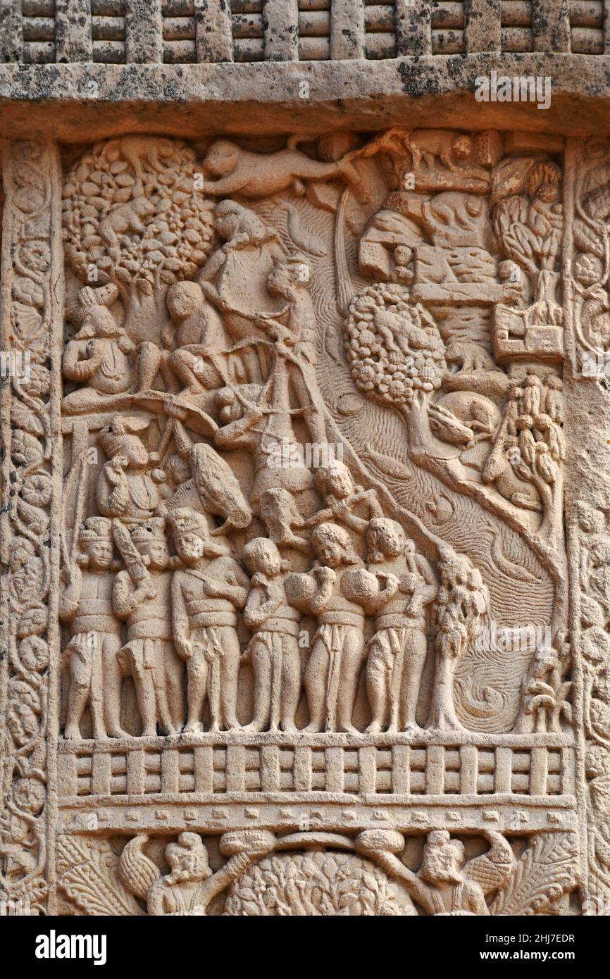 Stupa No 1, West Gateway, Right Pillar, Front Face, Panel 1 : Mahakapi ...