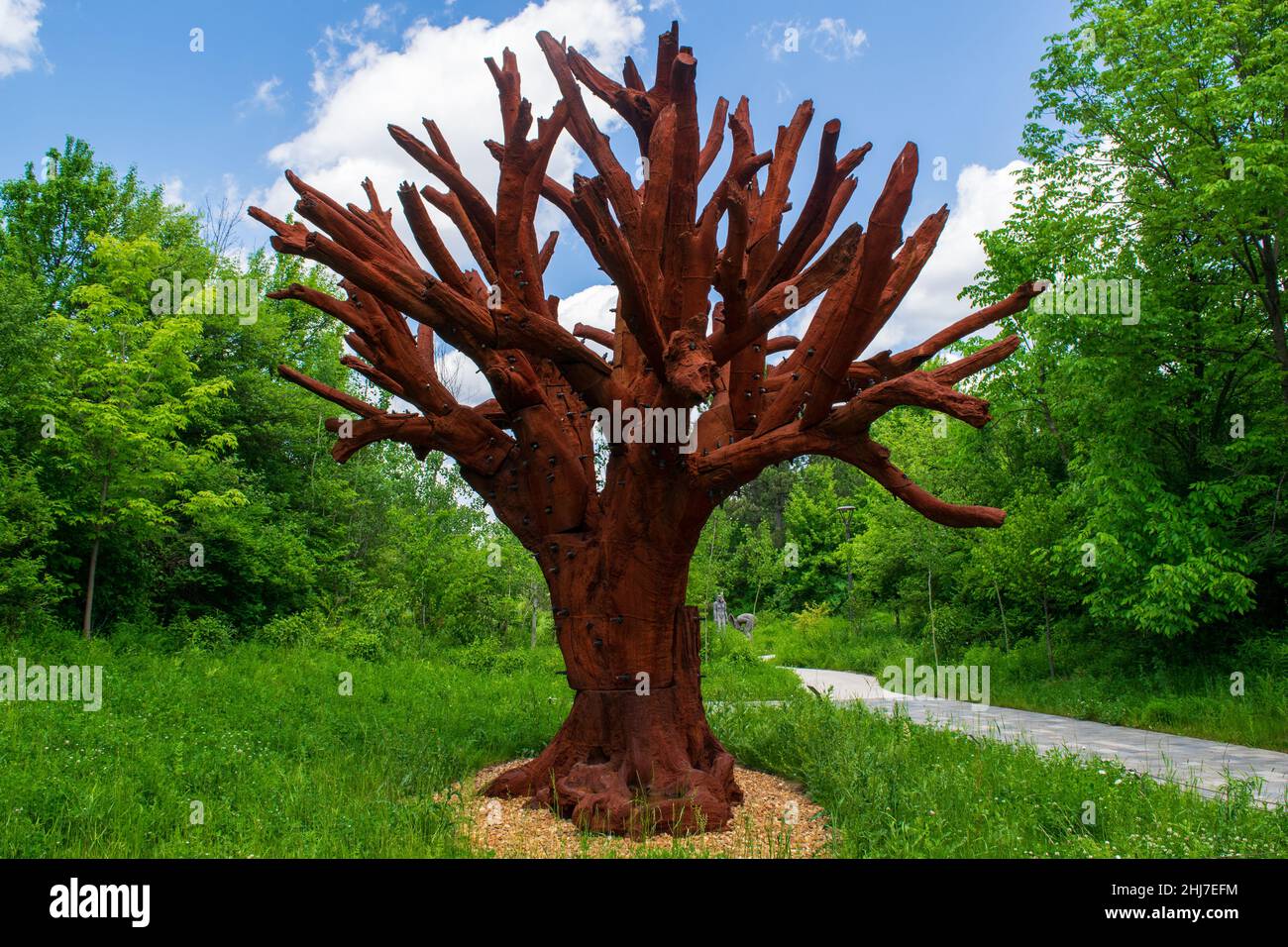 Iron tree hi-res stock photography and images - Alamy