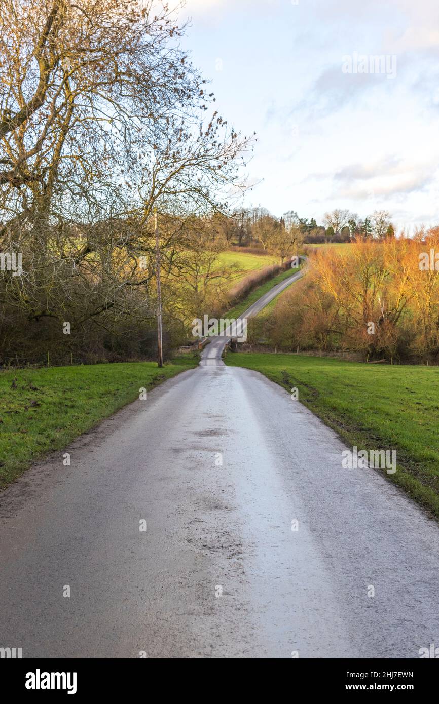 British country road in the countryside with hedges and grass either ...