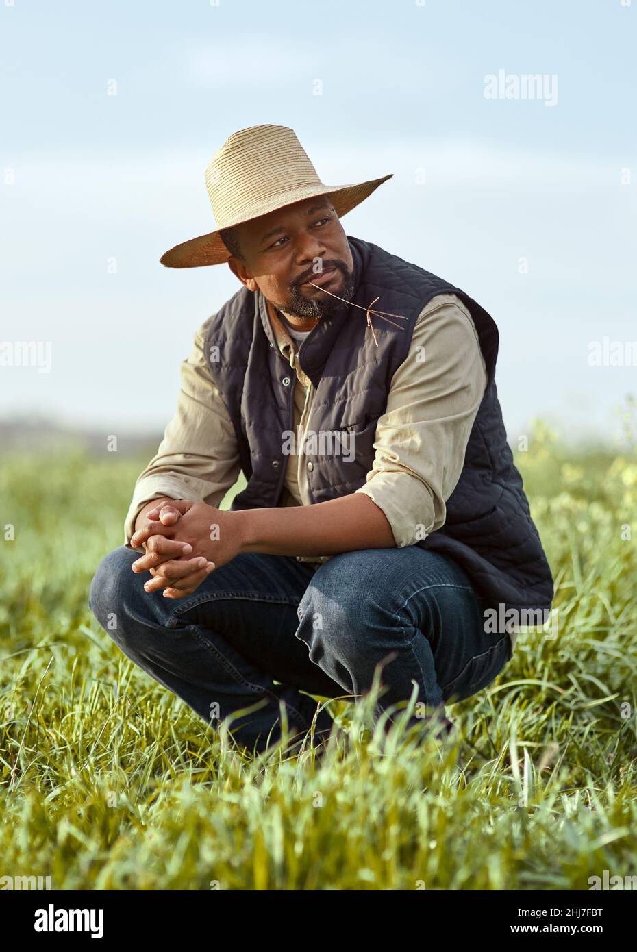 All things grow with time and patience Stock Photo - Alamy