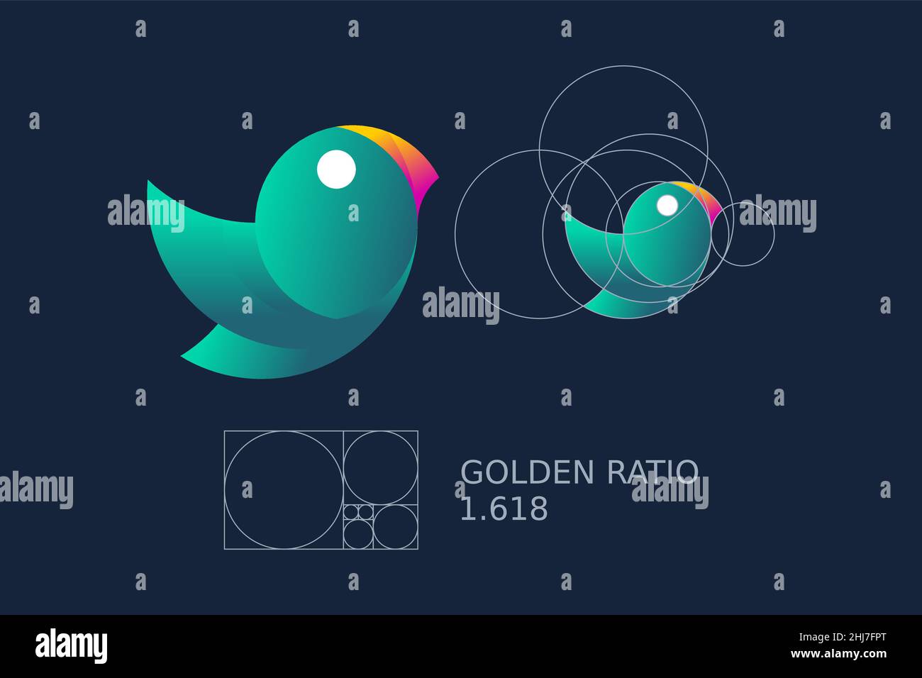 Golden ratio bird. Golden ratio design principle. Blue green parrot or sparrow made of circles ...