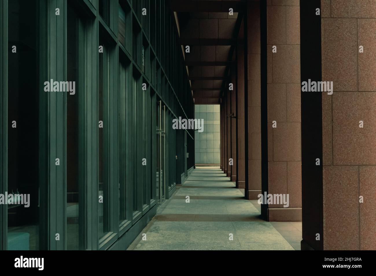 Columns and facade of a business building in a classic style in dark ...