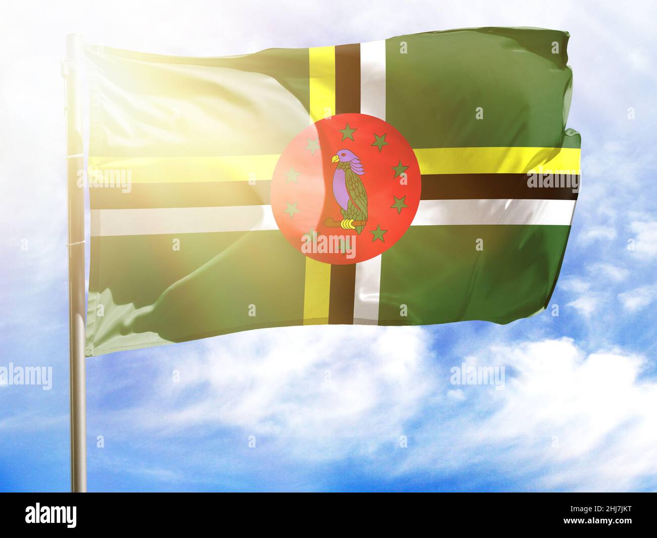 Dominica parrot hi-res stock photography and images - Alamy