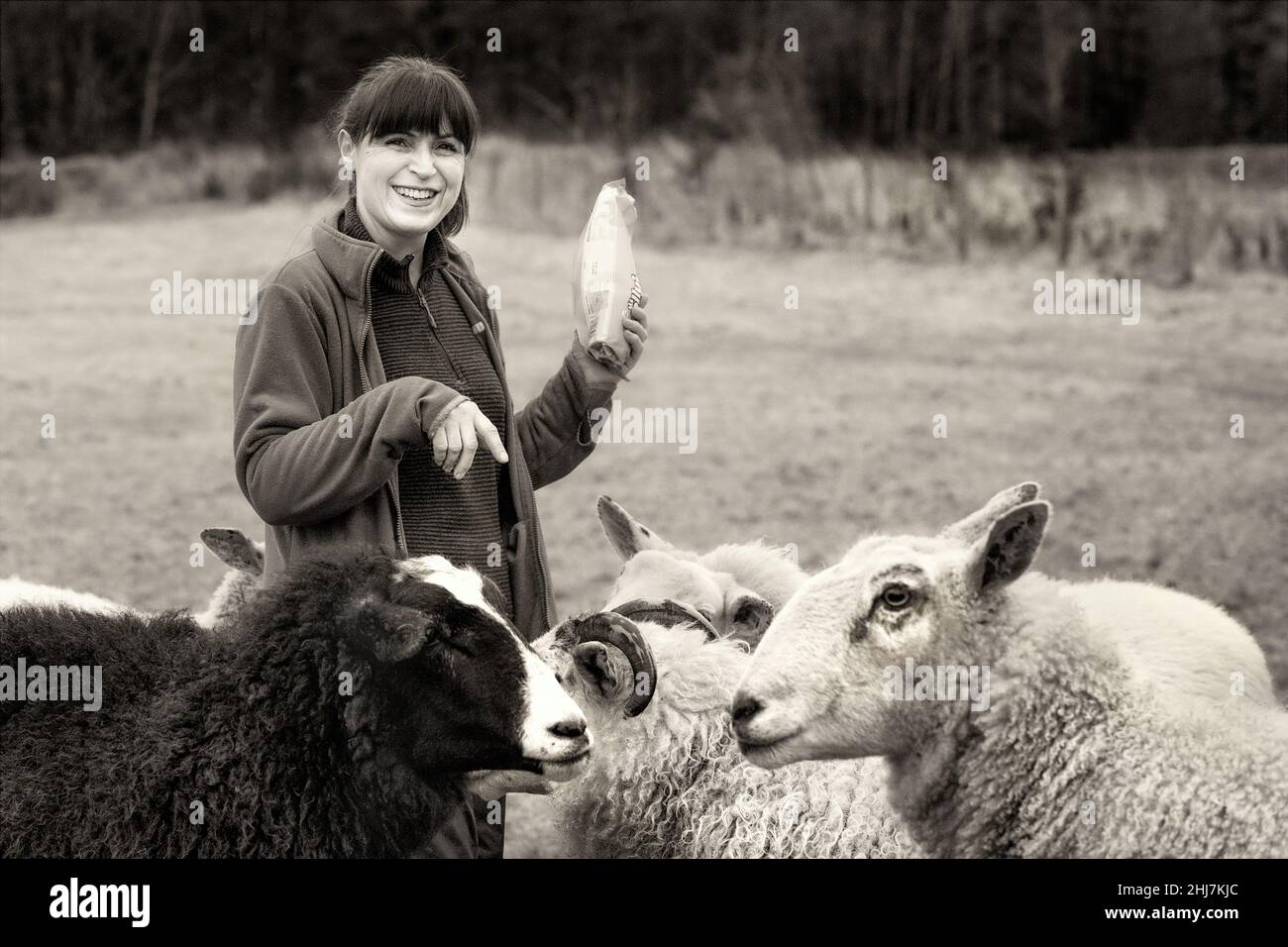 The Vegan Shepherdess. Images of a woman in northern Scotland who cares ...