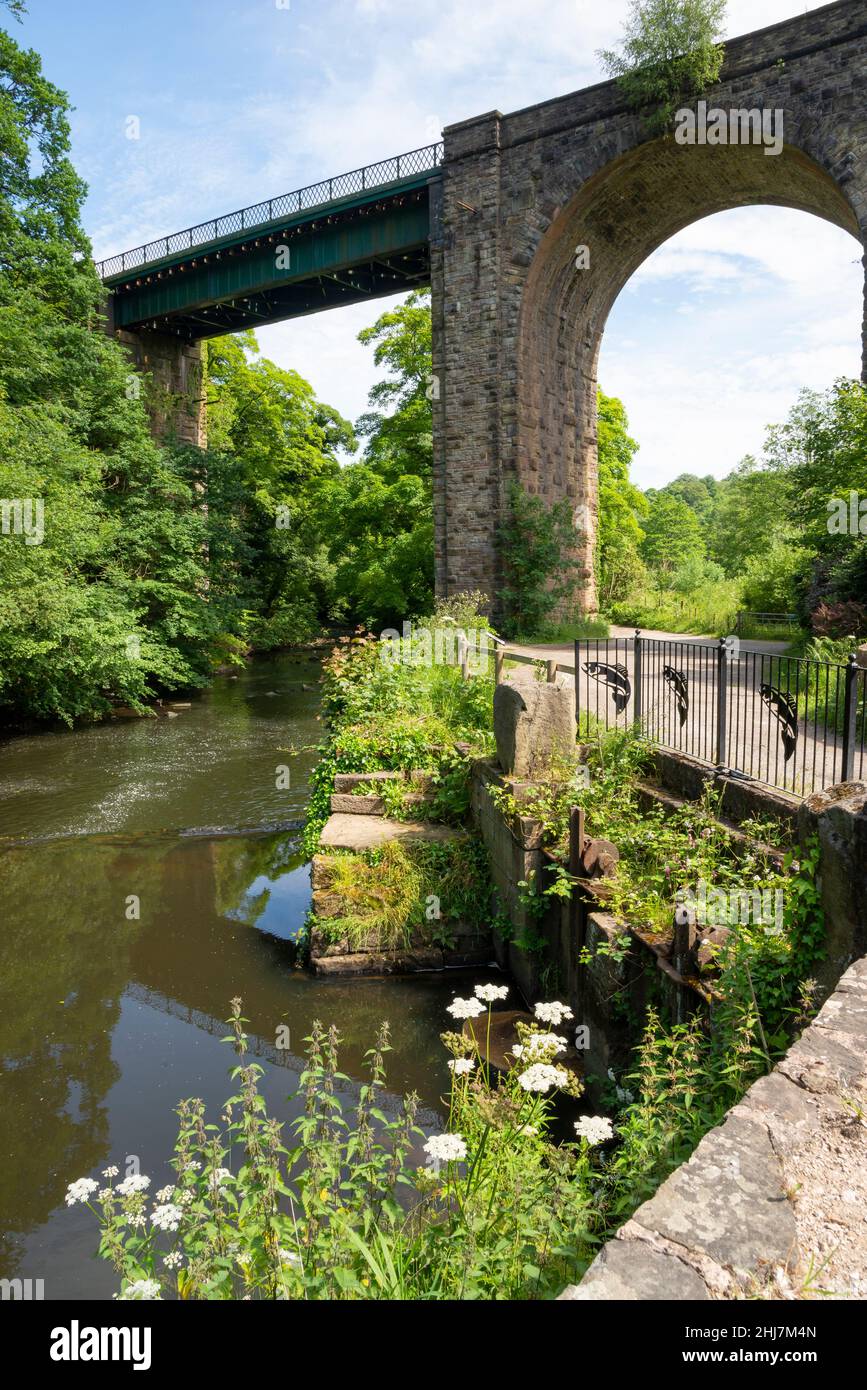 The river Goyt near the Roman Lakes at Marple, Stockport, Greater ...