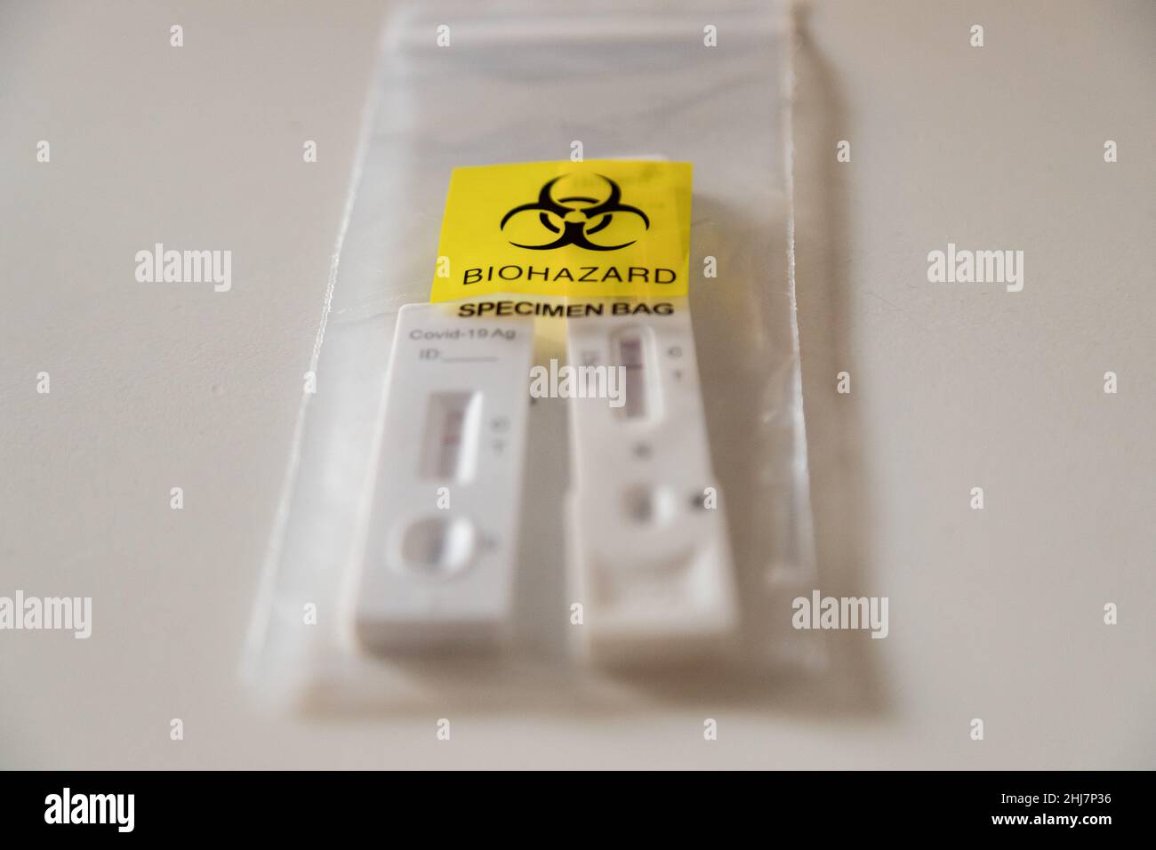 Two negative covid-19 antigen rapid test seen on January 27, 2022 in a ...