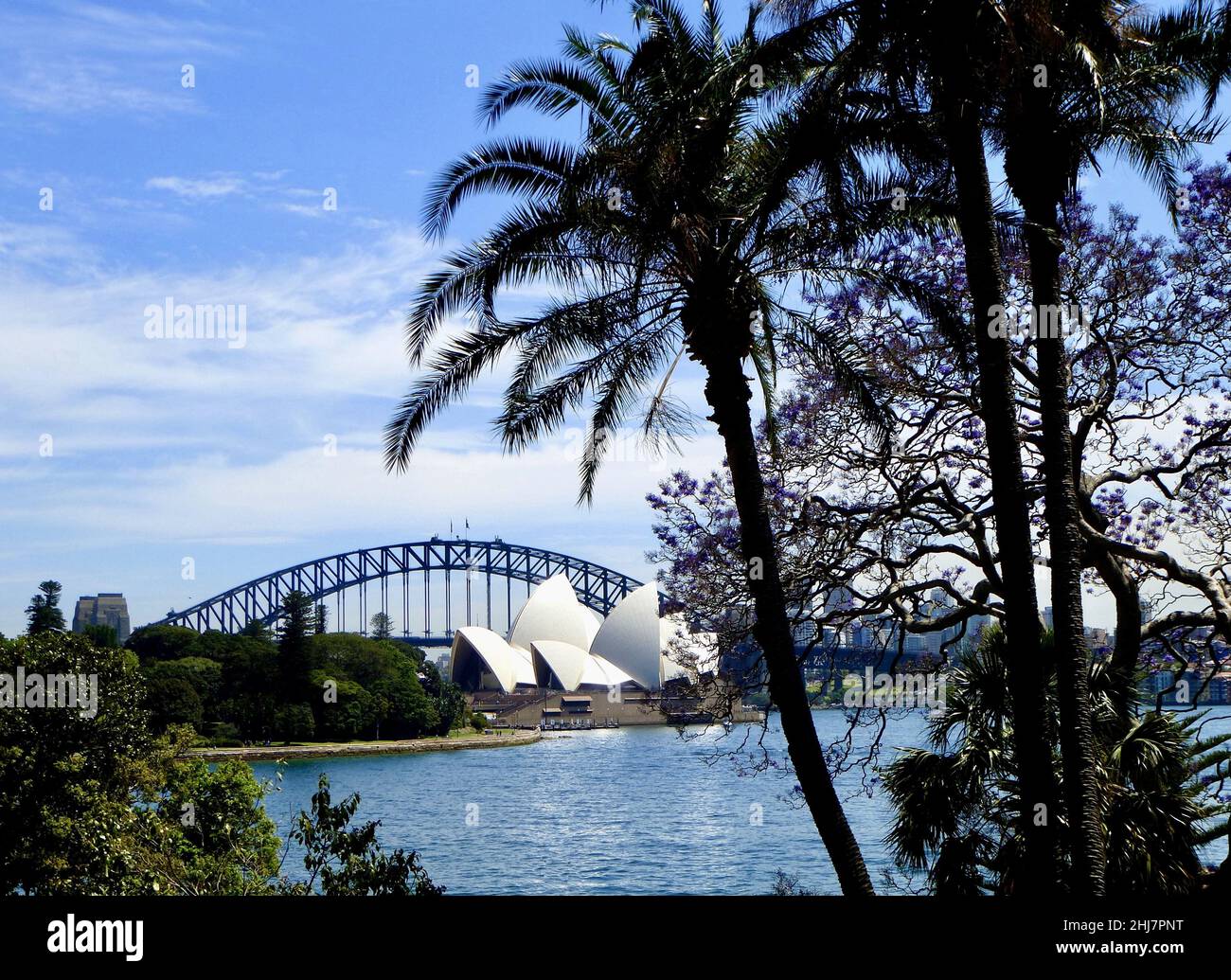 Beautiful view of Sydney Opera House from Royal Sydney Botanic Gardens ...