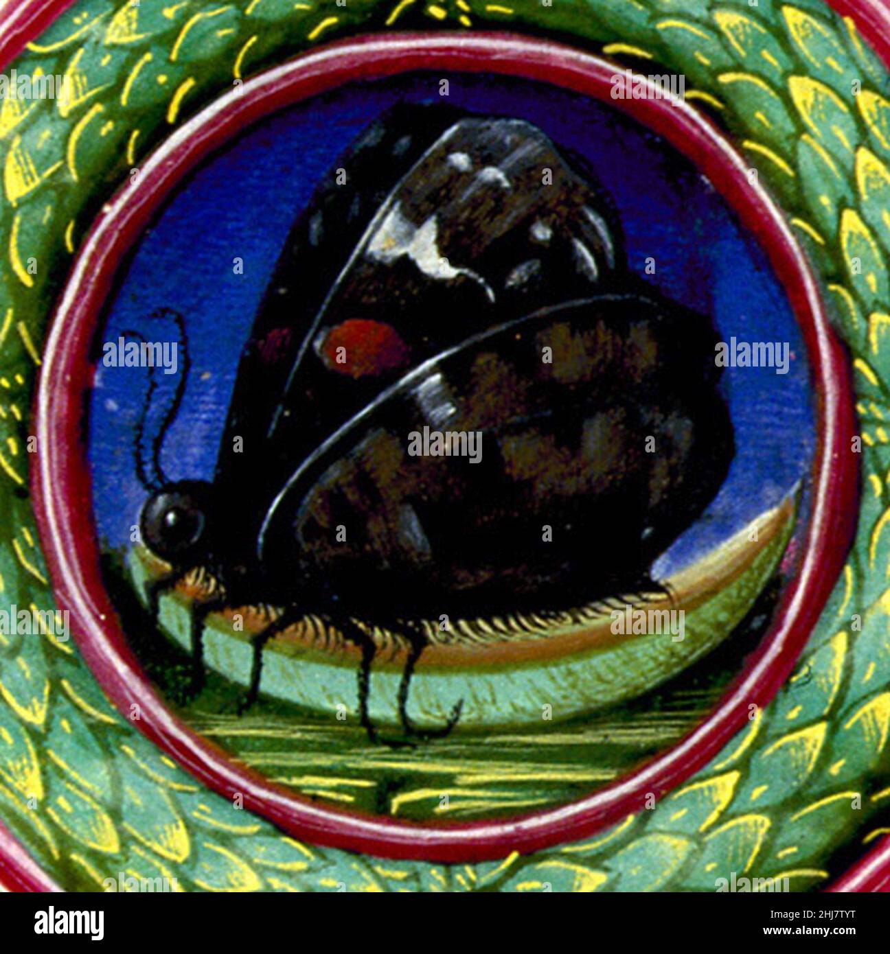 Taddeo crivelli, bibbia di borso d'este 07 Stock Photo - Alamy