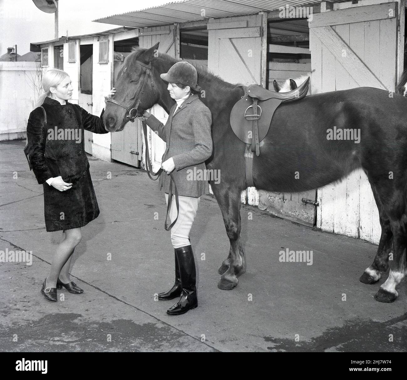 Horse stables 1960s hi-res stock photography and images - Alamy