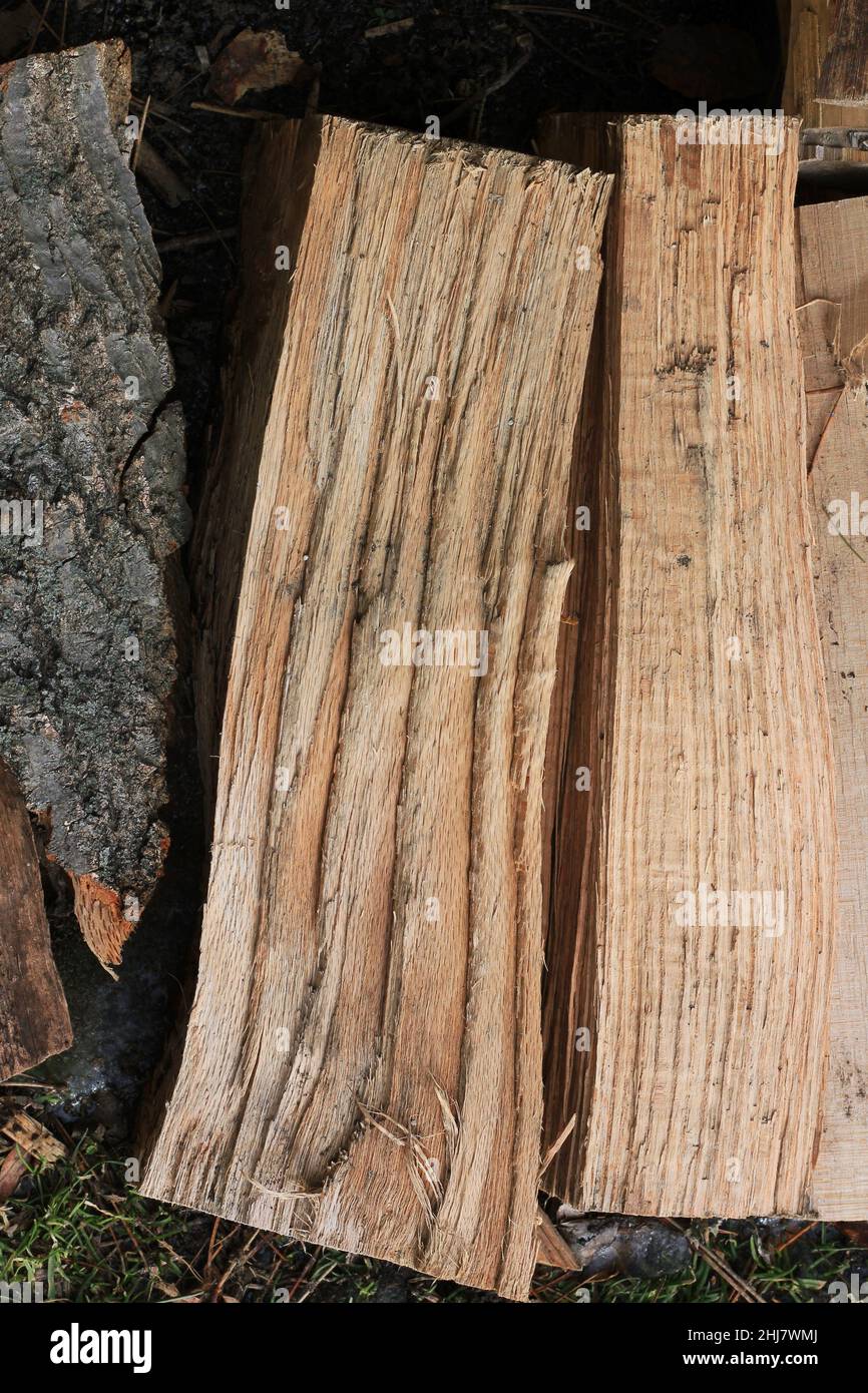 Campfire logs piled high and ready for use Stock Photo - Alamy