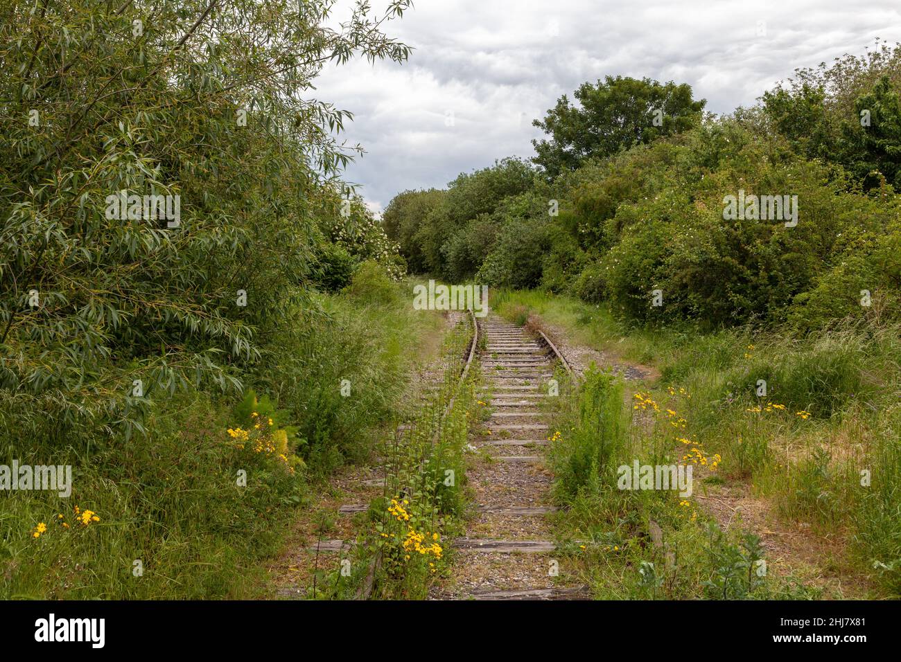 Overgrown railway track hi-res stock photography and images - Alamy