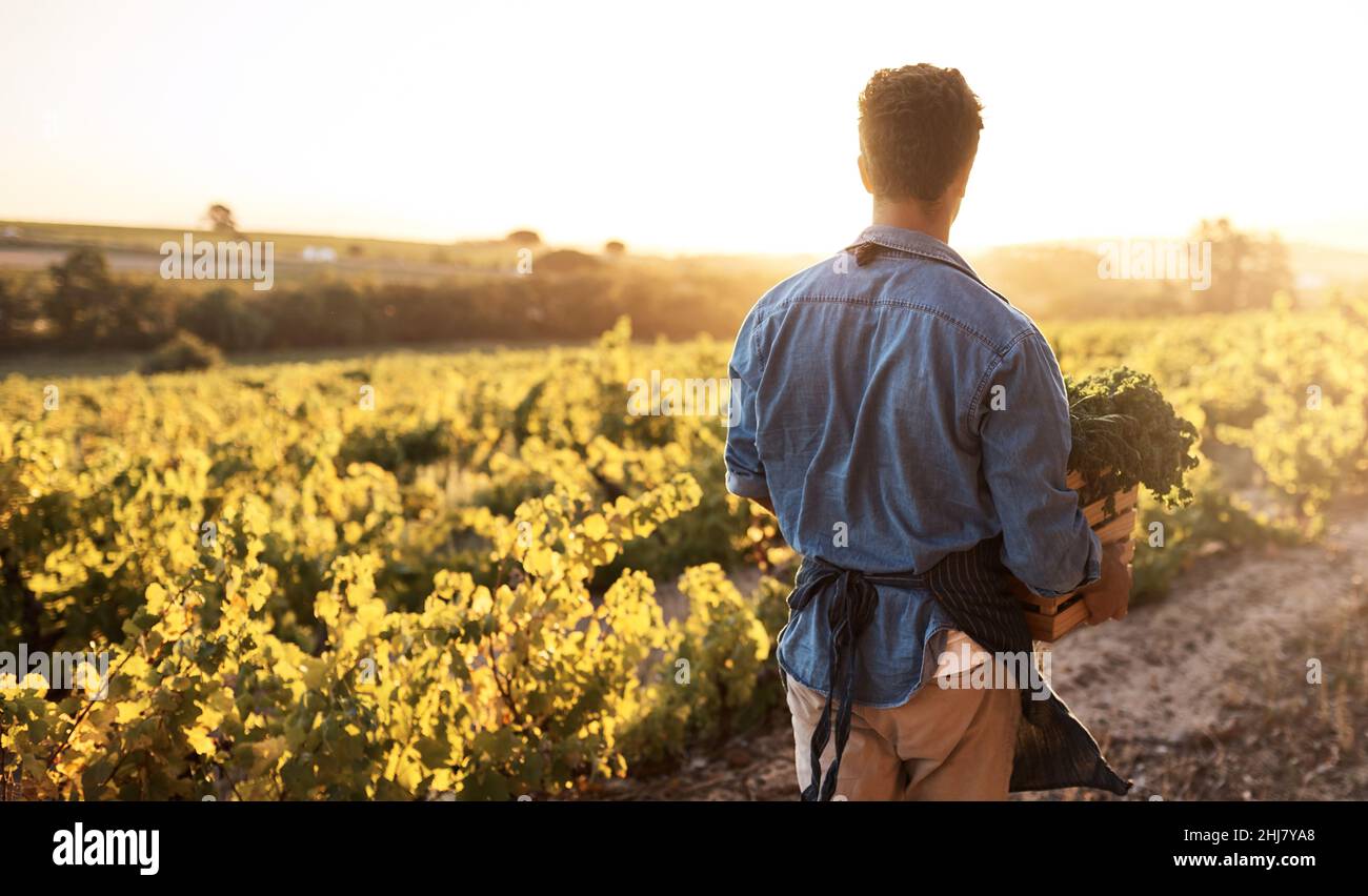 Rural civilization hi-res stock photography and images - Alamy
