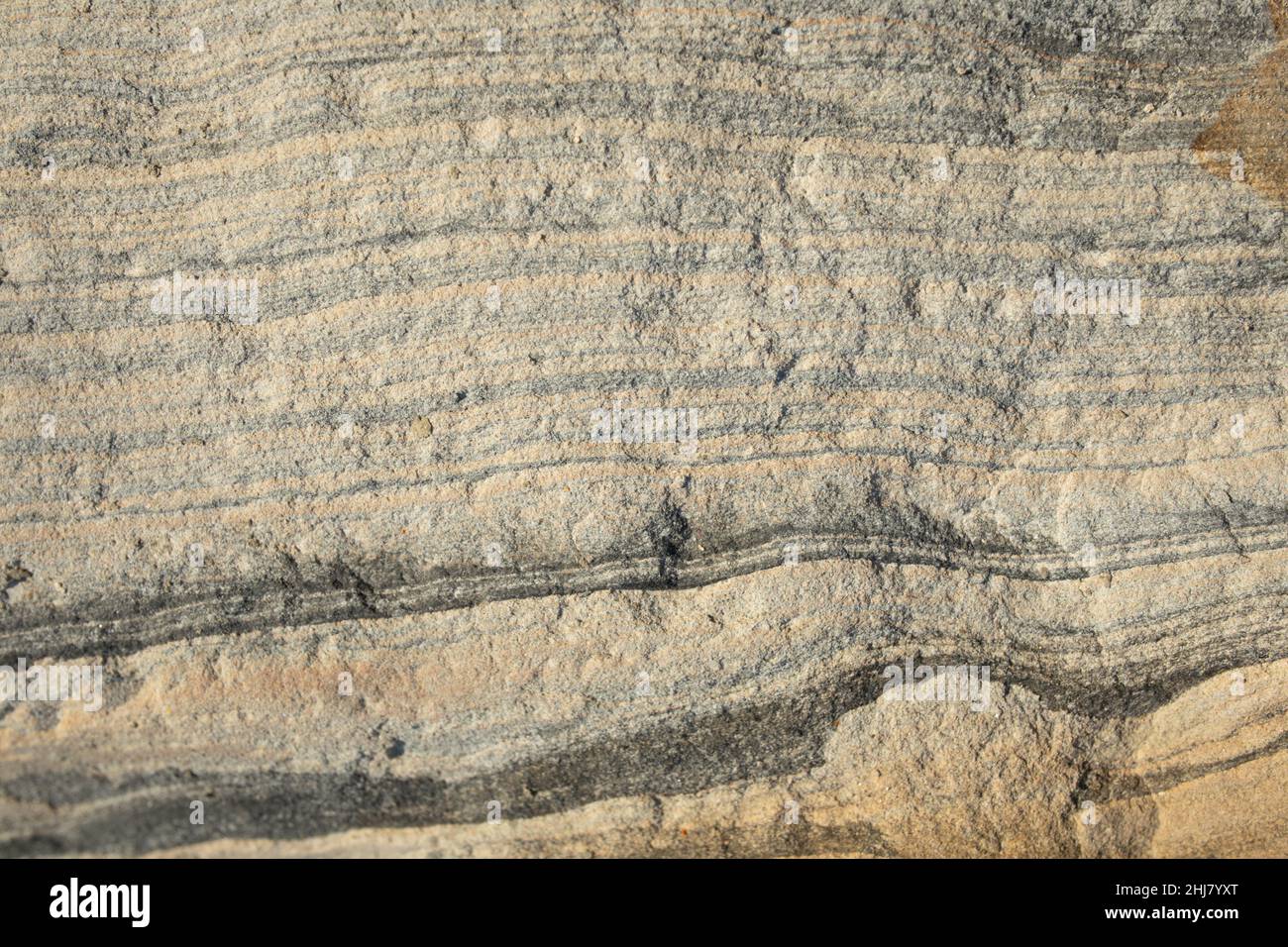 Natural textures, abstract background. High quality photo. Organic ...