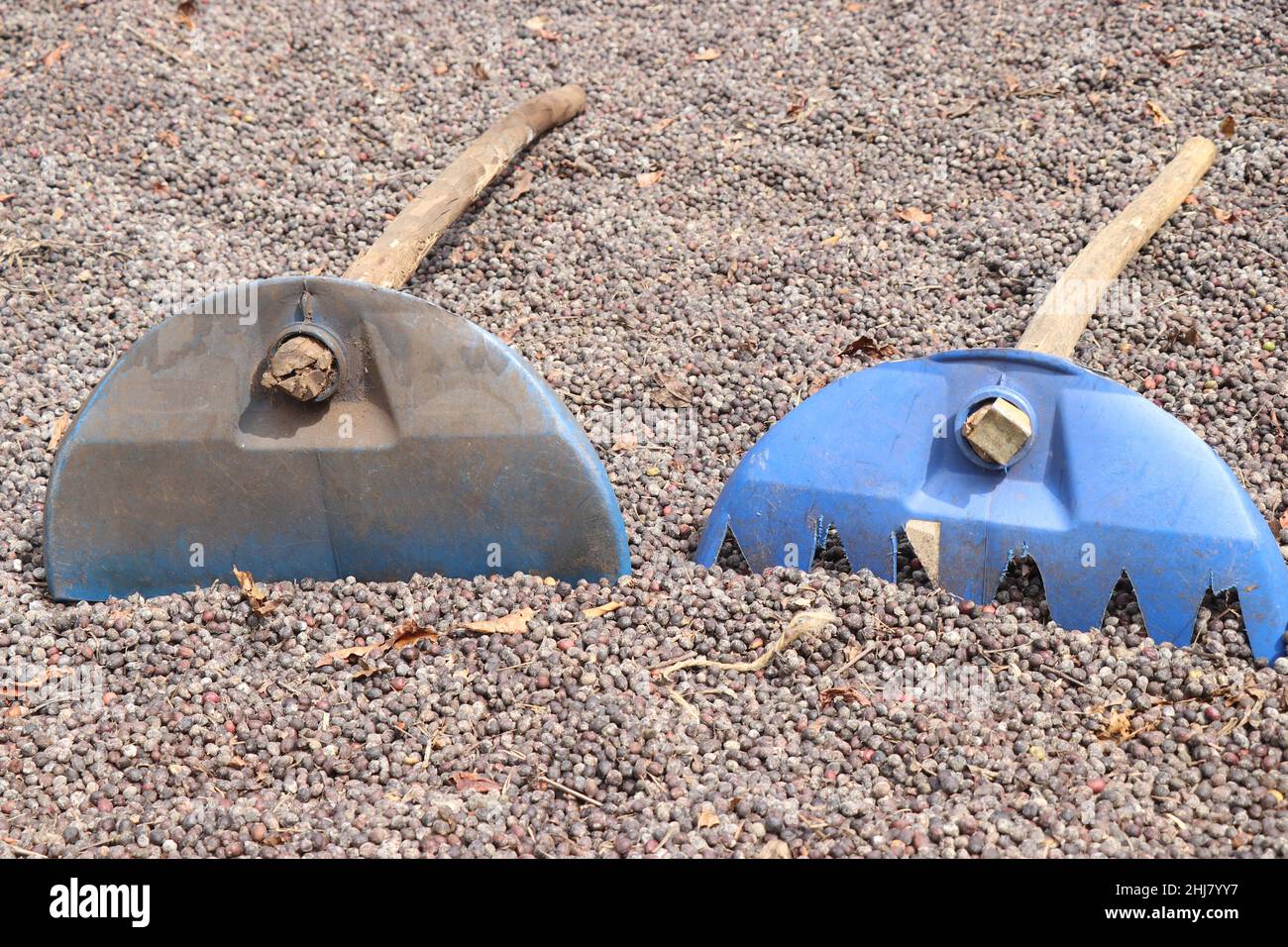 Rake types hi-res stock photography and images - Alamy