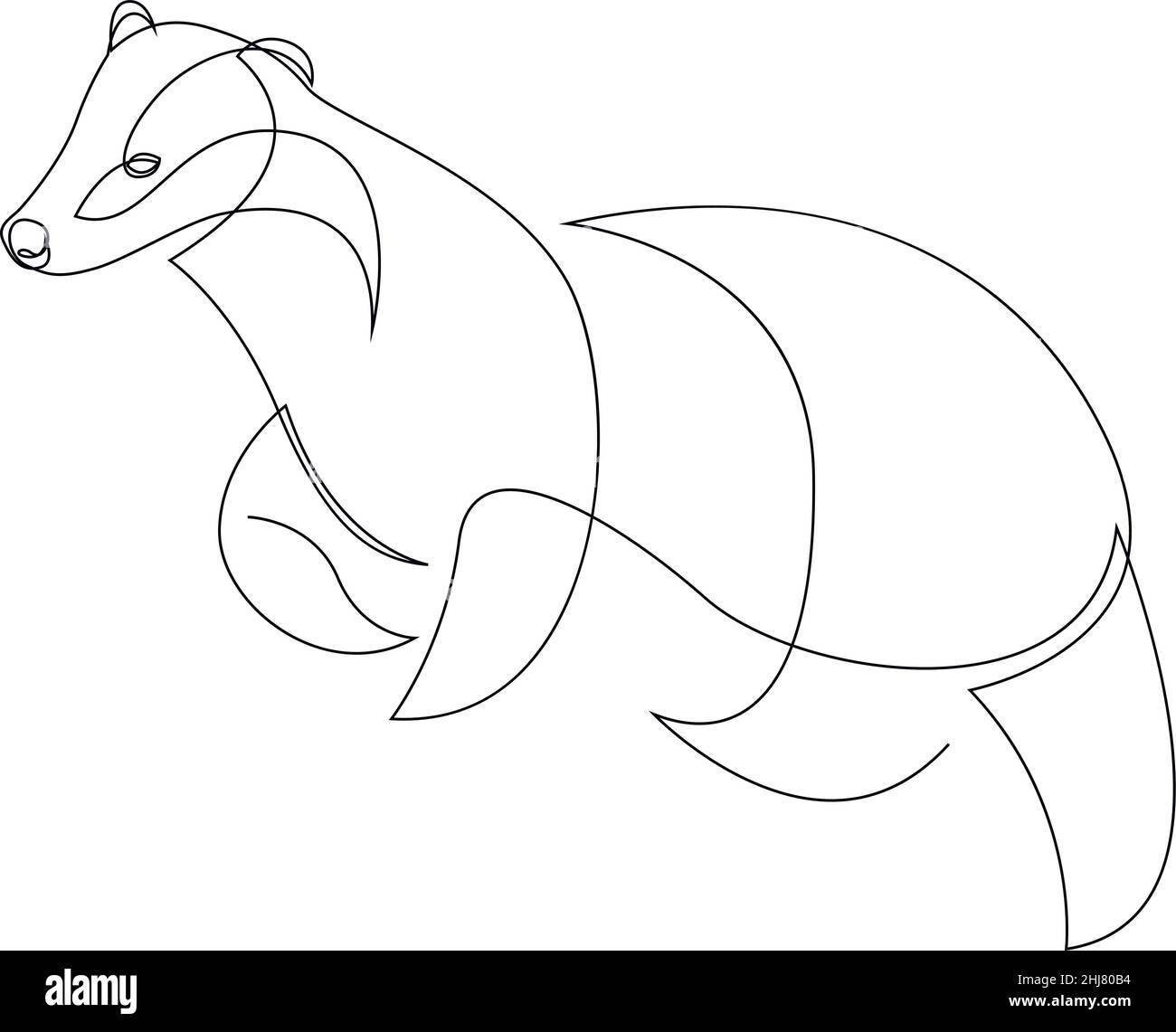 Badger drawn in single continuous line style. Vector illustration Stock ...