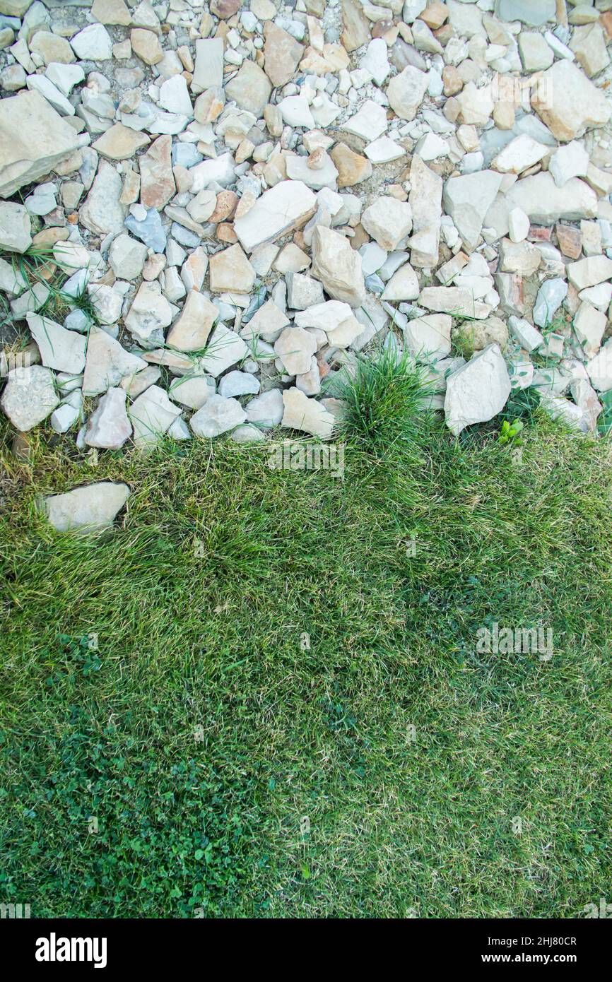 Natural textures, abstract background. High quality photo. Organic ...