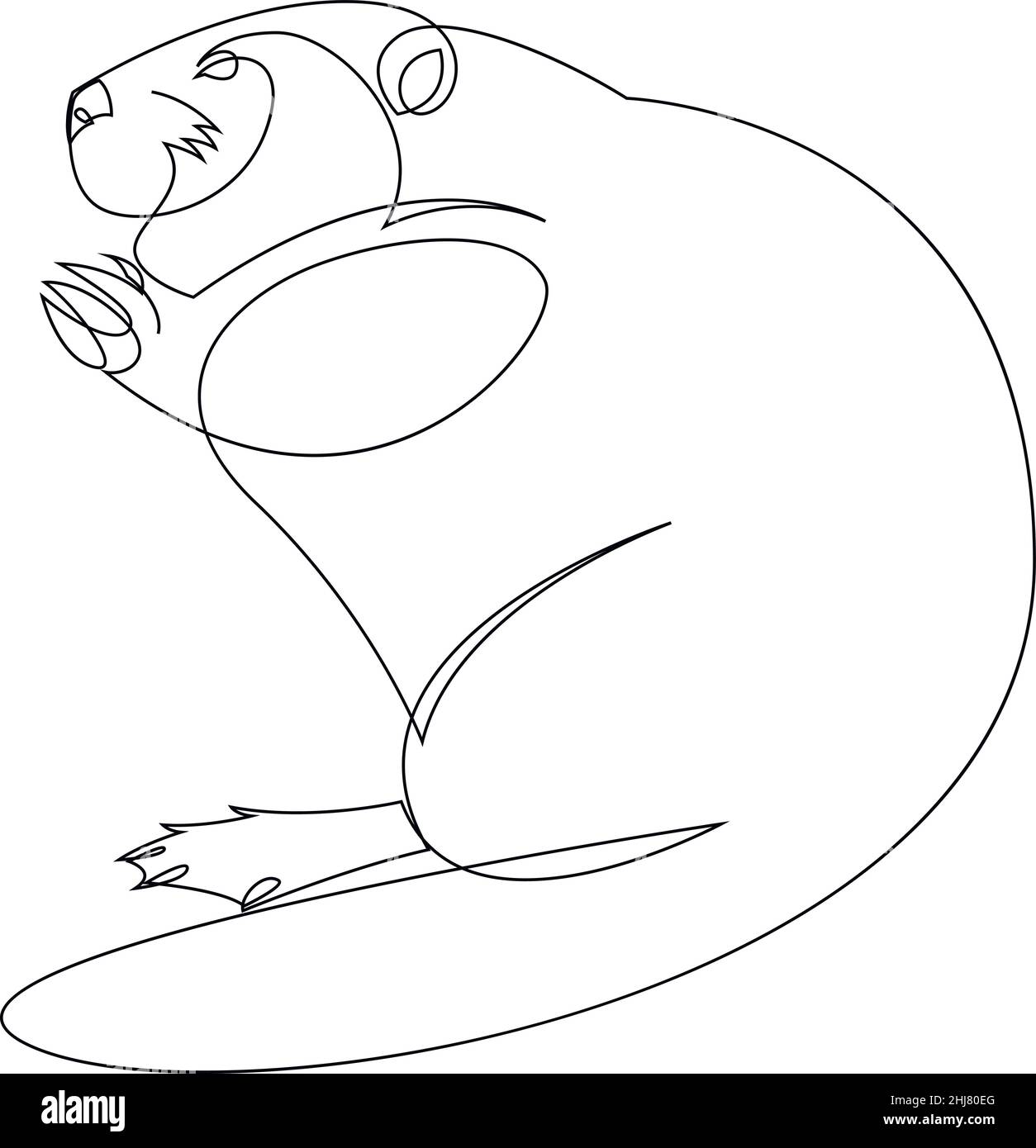 Drawing beaver face animal Black and White Stock Photos & Images - Alamy