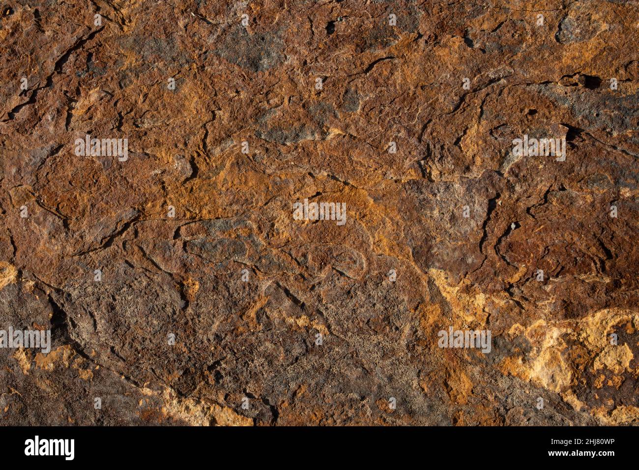 Natural textures, abstract background. High quality photo. Organic ...