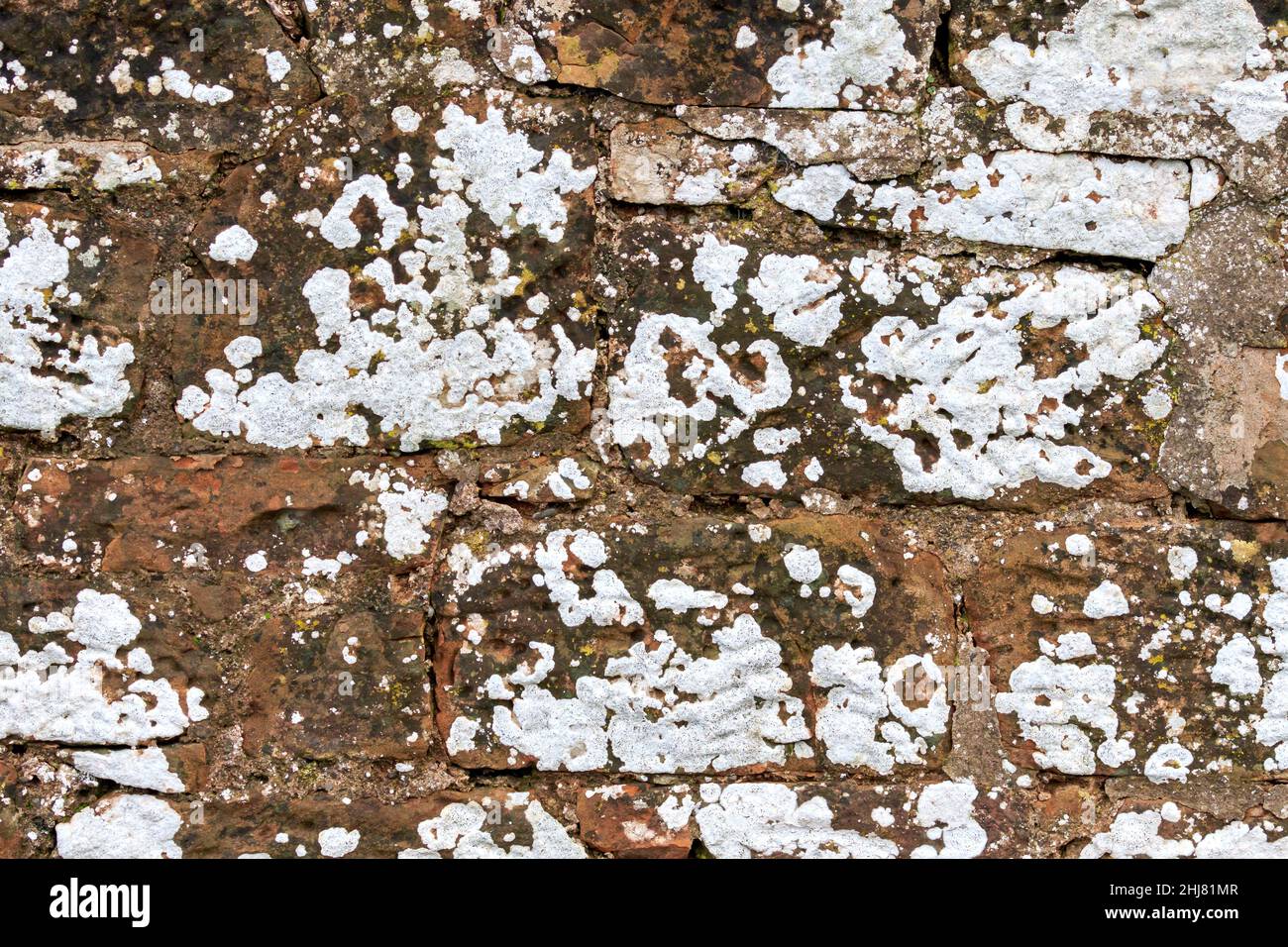 Scottish sandstone hi-res stock photography and images - Alamy