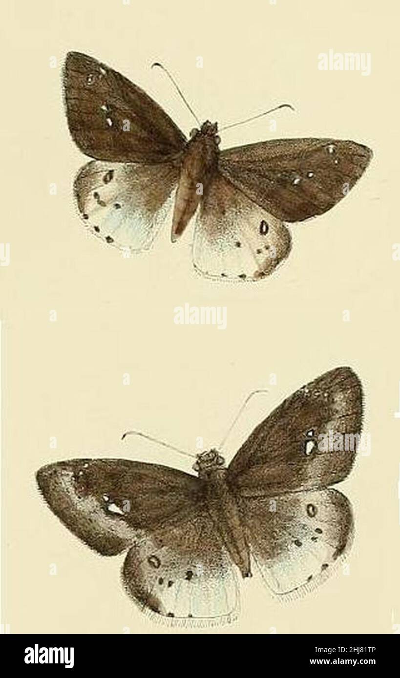 Japetus hi-res stock photography and images - Alamy