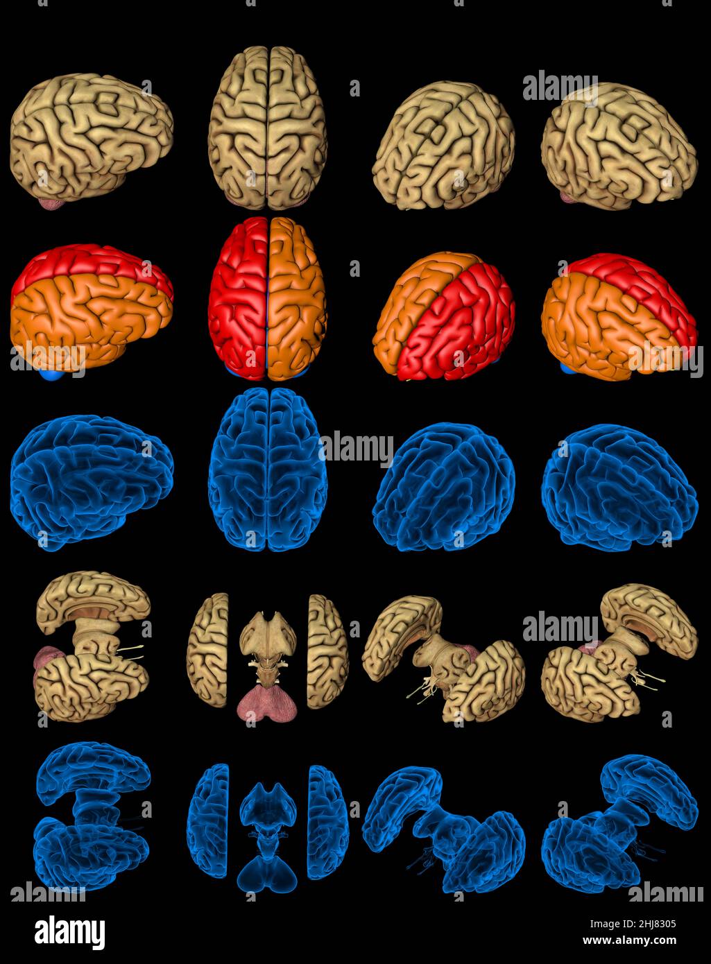 Zones hi res hi-res stock photography and images - Alamy