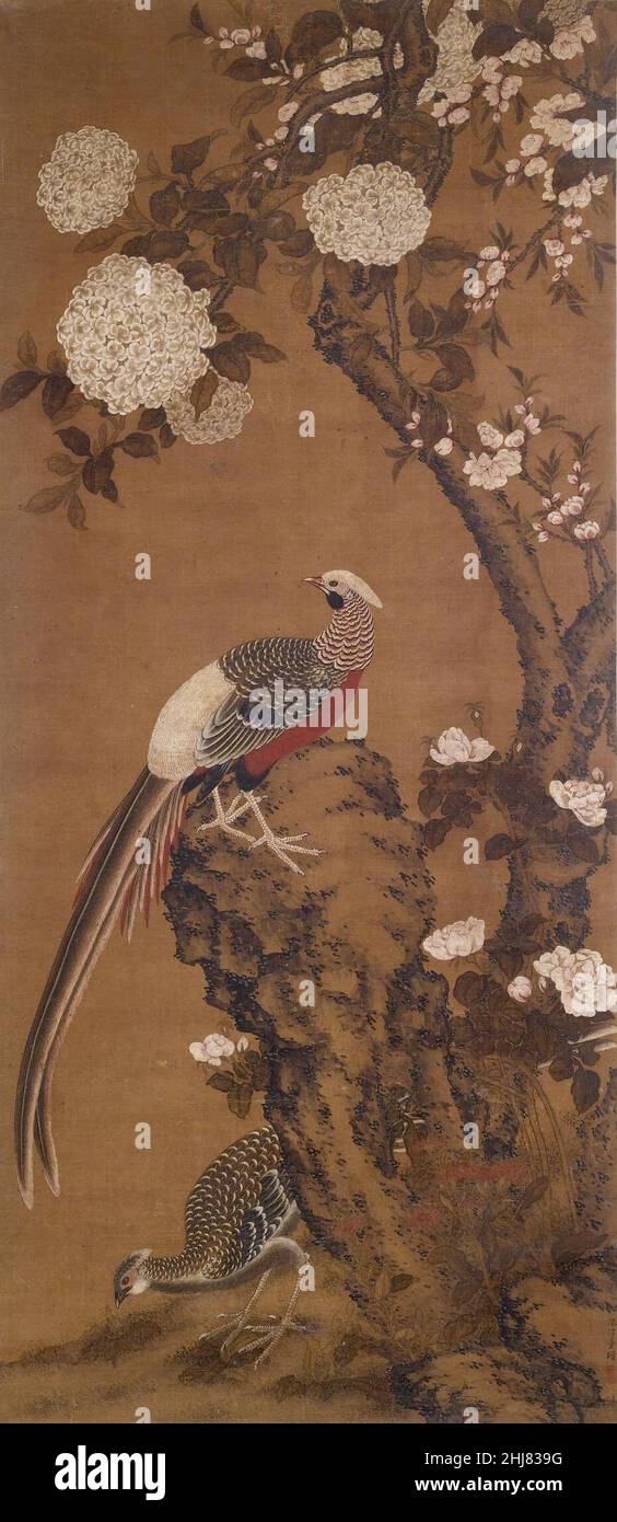 T'ung Tseng - Pheasants, Rock, Tree Peonies, and Hydrangeas Stock Photo ...