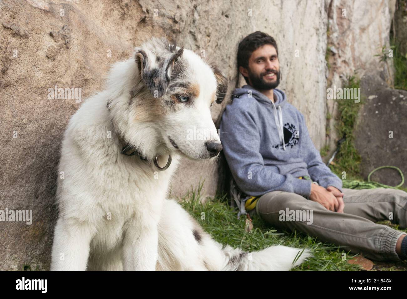 Hispanic man and brown border collie love each other outdoors Stock ...