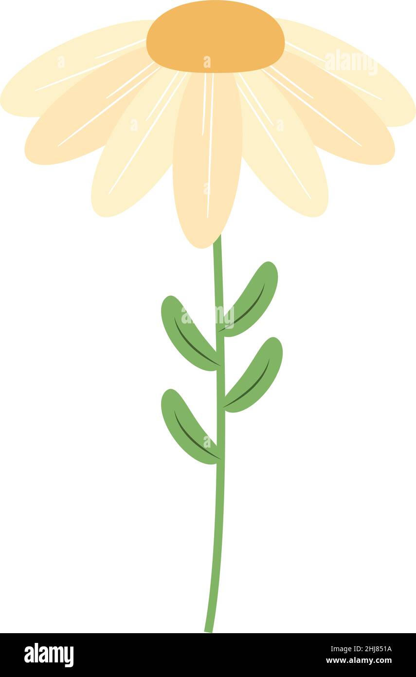 white flower design Stock Vector Image & Art - Alamy