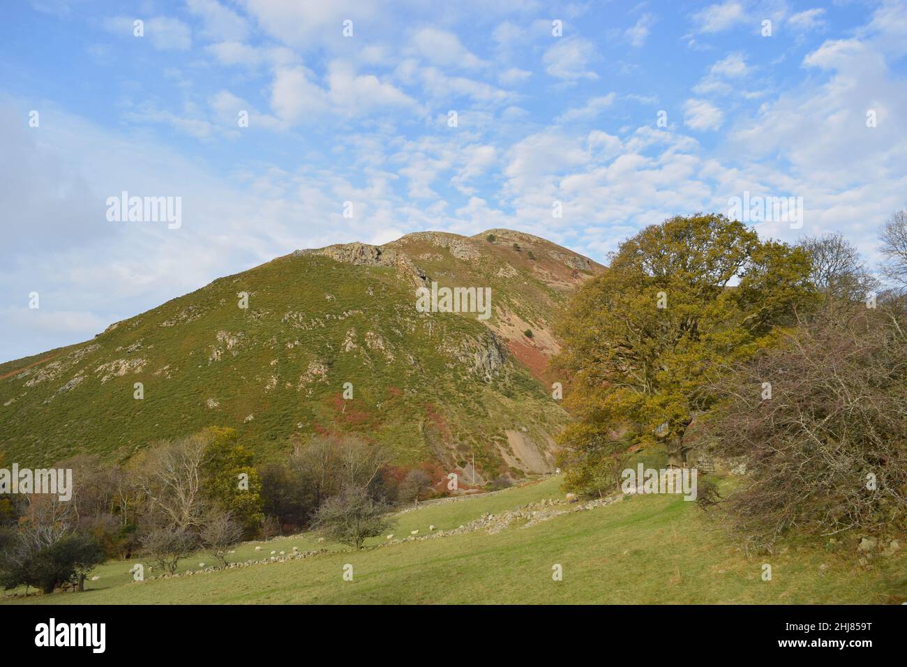 Houses and mountains in Welsh village Capelulo Stock Photo - Alamy