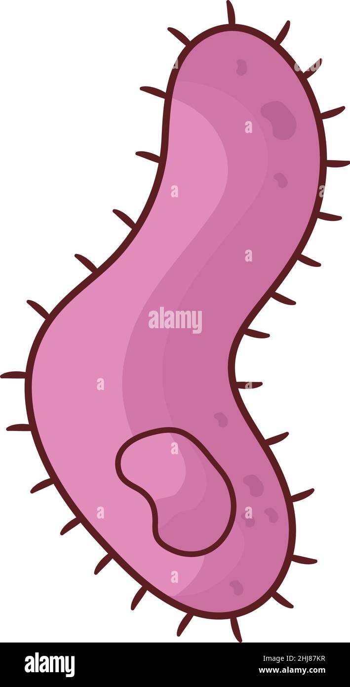 pink bacterium design Stock Vector Image & Art - Alamy