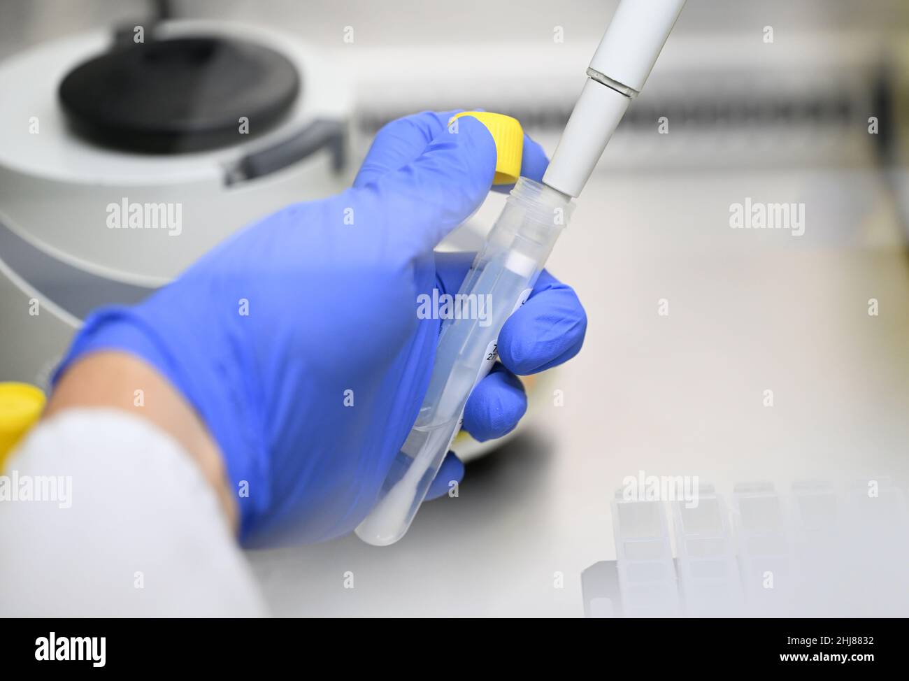 Stuttgart, Germany. 27th Jan, 2022. A staff member of the PCR testing ...