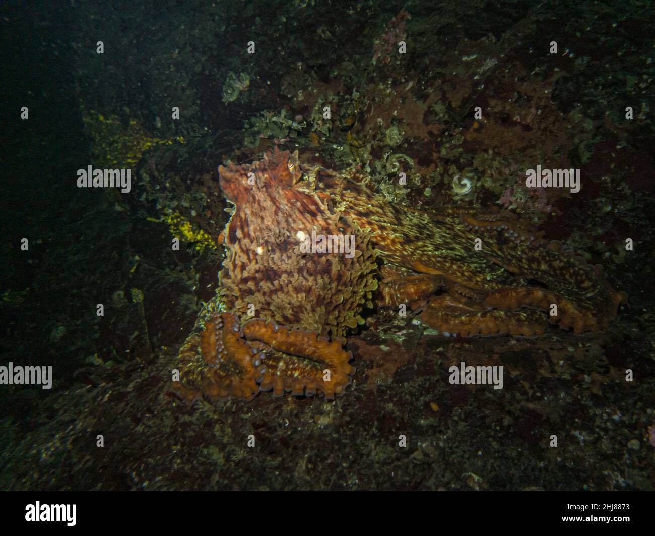 West coast of north america hi-res stock photography and images - Alamy