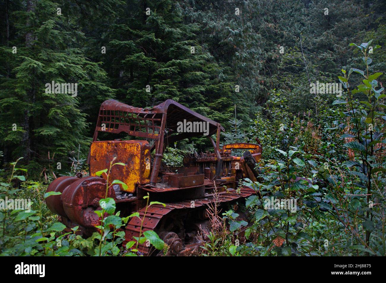 Abandoned broken down vintage bulldozer, BC, Canada Stock Photo - Alamy