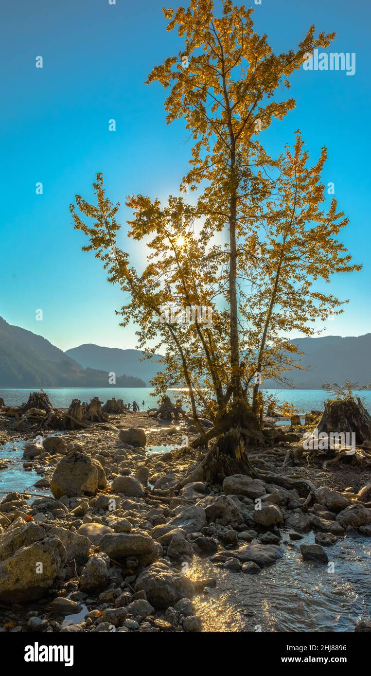 Comox lake canada hi-res stock photography and images - Alamy