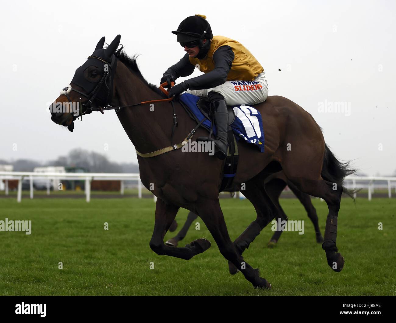 Ben case trainer hi-res stock photography and images - Alamy