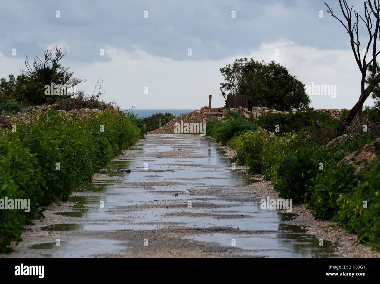 Old soft road through the green rocky mountains of Selmun, Malta Stock ...