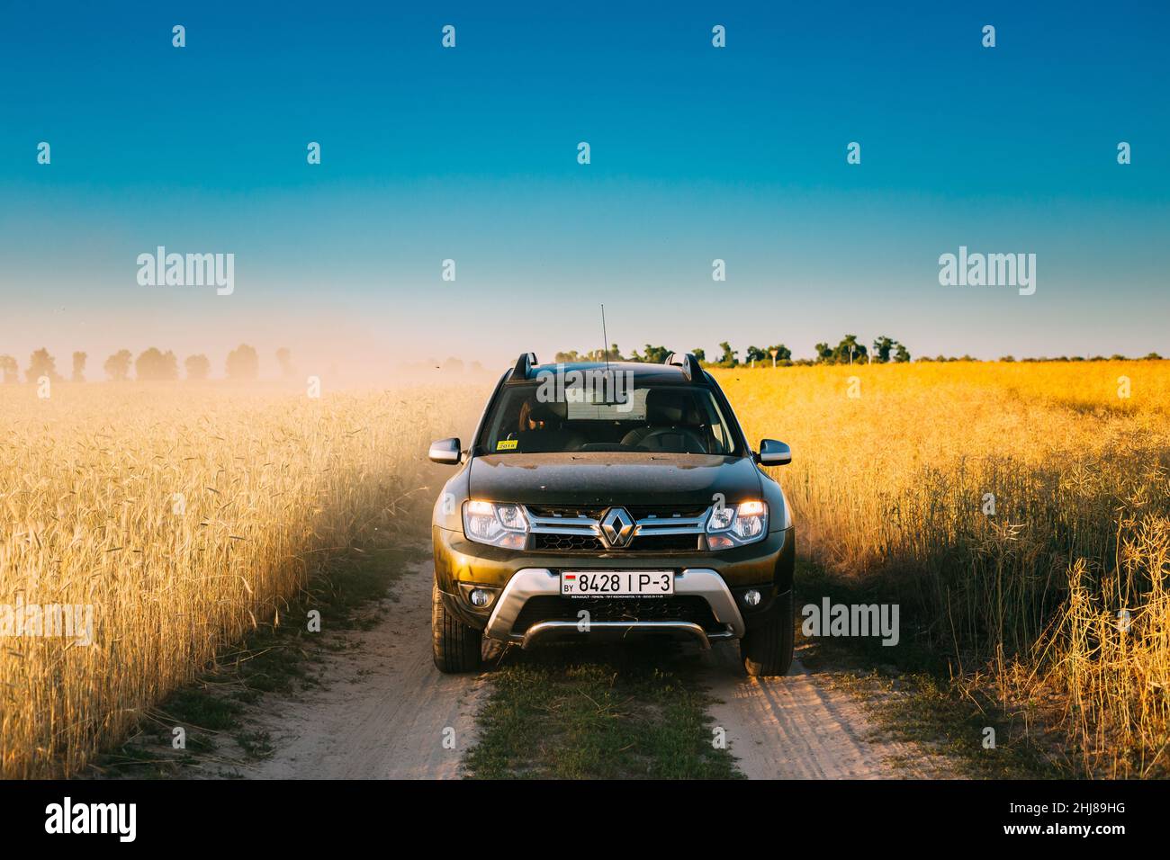 Renault Duster or Dacia Duster SUV in country road through summer wheat ...