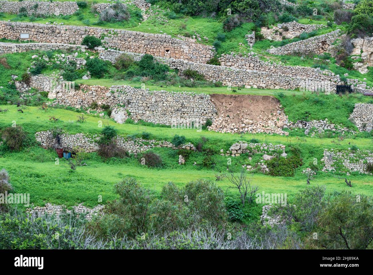 Traditional green terrace agriculture fields in the mountains near the ...
